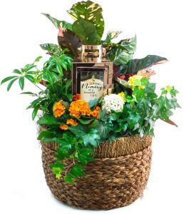 Sympathy and Funeral Flowers – Plants by Jackman's