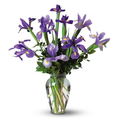 Iris - Classic iris flower arrangement