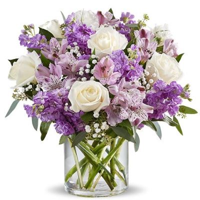 Lavender Dream